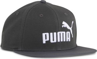 Puma Erwachsene ESS No. 1 Logo Cap mit flachem Schirm OneSize, Dusky Gray