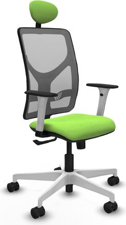 Piqueras y Crespo Stuhl mit Lendenwirbelst&uuml;tze mit wei&szlig;en und schwarzen Armlehnen und festem Kopfteil, ausgestattet mit 3 Positionen und Schneideschaum, Grau/Pistazie