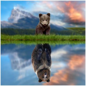 Wallario Sticker/Aufkleber f&uuml;r K&uuml;hlschrank/Geschirrsp&uuml;ler/K&uuml;chenschr&auml;nke, Selbstklebende Folie - 60 x 60 cm, Motiv: Zukunftsaussichten