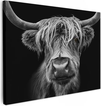 MuchoWow © Bilder 80x60 cm Wohnzimmer Deko Modern Wandbild Foto auf Leinwand Bild Schlafzimmer Room Decor Geschenke Schottisches Hochlandrind - Highland Cow - 