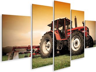 Islandburner Bild auf Leinwand Alte Traktoren Auf Der Wiese Bilder Wandbilder Poster