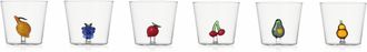 Ichendorf Set mit 6 Wassergläsern aus der Kollektion Fruits & Flowers, Borosilikatglas, Tumbler, Trinkglas, Zuhause, 200 ml