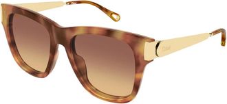 Chlo&eacute; Damen, Accessories, Braun, 54 MMGr&ouml;&szlig;e