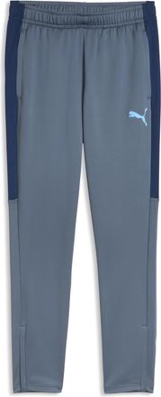 Puma Pantalon dentra&icirc;nement individualLIGA Homme, Accessoires, Bleu, 3XL