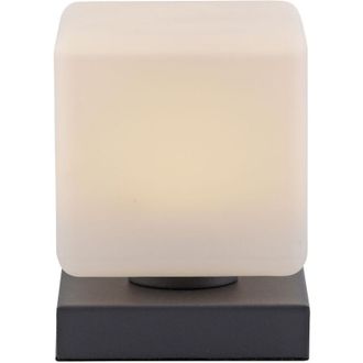 Paul Neuhaus LED-Tischleuchte 4036-13 anthrazit, 5 w, 580 lm, 3000 k - Paul Neuhaus