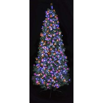 Premier 500 LED-Leuchten, mit Timer, Regenbogenfarben