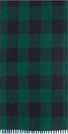 Valentino Garavani Homme, Accessoires, Vert, Taille: ONE Size Sciarpa