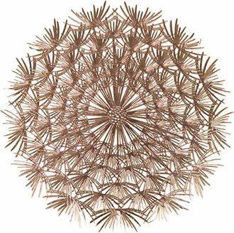 Villa D'Este Home Tivoli Platzdeckchen, rund, Gold, 38 cm, Pusteblumen-Design, goldfarben, 6 St&uuml;ck