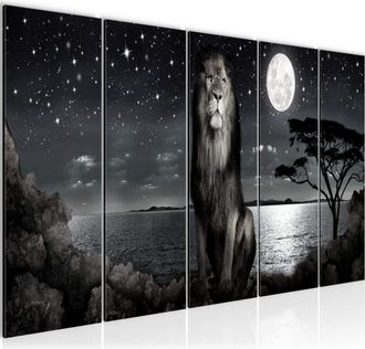 Runa Art Bild Afrika L&ouml;we Wandbilder auf Vlies Leinwand 5 Teilig Wanddekoration Wohnzimmer Schlafzimmer 022956c