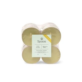 Spaas 8 x 8 Citronella Maxi Teelichter, 10 Stunden - Pistaziengr&uuml;n - Asian Garden