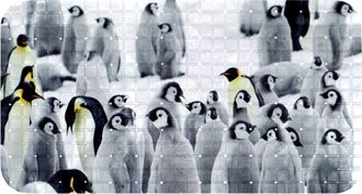 Haminaya Badematte Pinguin Badewannenmatte rutschfest Badenwannen Rutschmatte f&uuml;r Badezimmer Maschinenwaschbar Ideal f&uuml;r Kinder Kleinkind Senior 37.5x68.5 cm