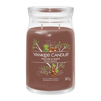 Yankee Candle Company Signature Duftkerze | gro&szlig;e Kerze mit langer Brenndauer Praline & Birch | Soja-Wachs-Mix | Perfekte Geschenke f&uuml;r Frauen