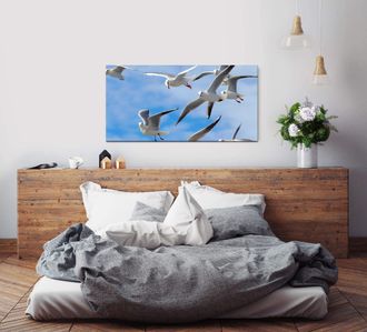 Paul Sinus Art M&ouml;wen im Himmel Wandbild in verschiedenen Gr&ouml;&szlig;en W&auml;hle Deine Gr&ouml;&szlig;e 60x120cm