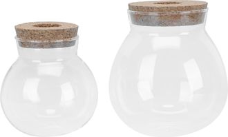 Cabilock 2Pcs Wasser Pflanzen Vase Glas Hydrokultur Vase Hydrokultur Pflanzer Geprägte Klarglas Flasche Home Dekorationen