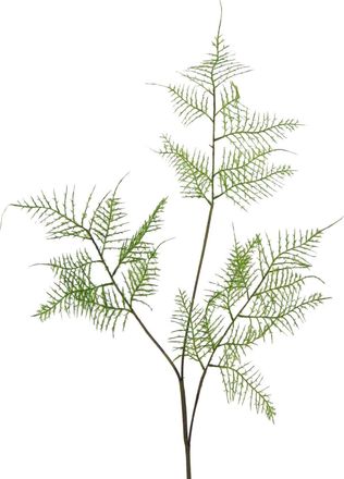 Creativ Home Kunstpflanze FARNZWEIG ca 84 cm. Künstlicher Farn, Beiwerk in grün