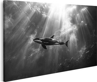 Islandburner Prime Bild auf Leinwand Orca Unter Wasserlicht Spielerisch Bilder Wandbilder Poster