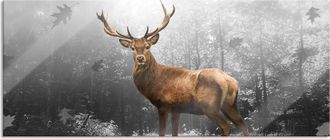 Pixxprint Glasbild Panorama, Wandbild aus Echtglas, Hirsch im Wald mit fallenden Blättern B&W Detail, 120x50 cm, inkl. Aufhängung und Abstandshalter