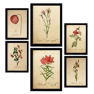 Nacnic Fleurs Rouges Affiches. Illustrations Nature et Botanique en Couleur avec des Th&egrave;mes Floraux dans un Style de Papier Vintage. Design dint&eacute;rieur et d&eacute;c