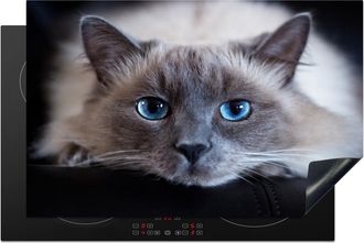 MuchoWow Herdabdeckplatte Ceranfeld Spritzschutz Küche Katze - Grau - Nahaufnahme 81x52 cm Induktionsherd Abdeckung Induktionskochfeld Ceranfeldabdeckung