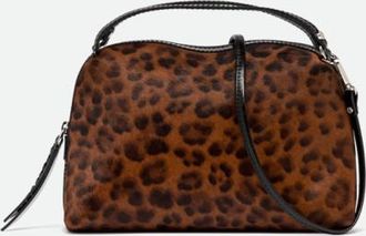 Gianni Chiarini ALIFA