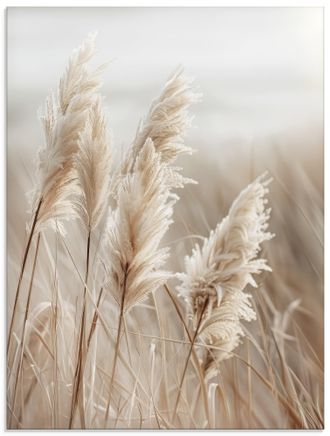 Artland ARTland Wanddeko Glasbilder Wandbild Glas Bild 45x60 cm Pflanzen natural elements Gräser Pampasgras Schilf Boho Deko U5GN