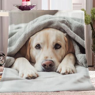 Generic Personalisierte Decke Grau Weiß Kuscheldecke Decke mit Aufdruck Niedlicher Labrador Retriever 150 x 200 cm Decke geeignet für Bett Sofa und Stuhl Deck