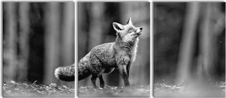 Pixxprint Neugieriger Fuchs im Herbstwald, Monochrome, XXL Leinwandbild in Übergröße 180x80m Gesamtmaß 3 teilig, Wandbild, Kunstdruck