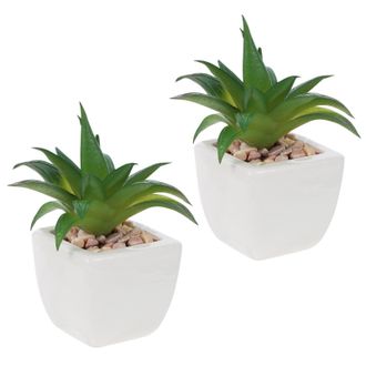 Hemobllo K&uuml;nstliche Sukkulenten 2 St&uuml;ck Realistische Gr&uuml;ne Topfpflanzen Formstabil f&uuml;r B&uuml;ro Wohnraum Deko ohne Gie&szlig;en