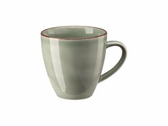 Rosenthal Becher mit Henkel Casual Moss 0,35 L