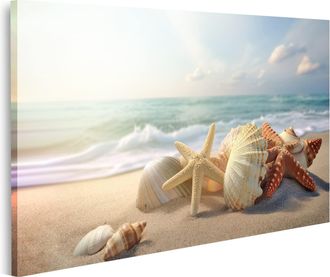 Islandburner Prime Bild auf Leinwand Schöne Muscheln Sandstrand Bilder Wandbilder Poster