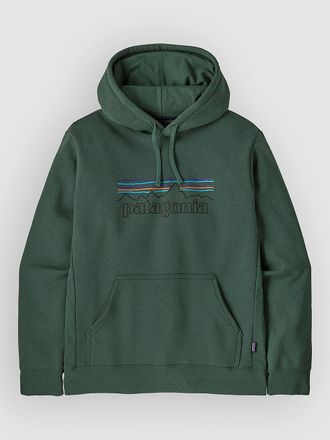 Patagonia P-6 Logo Uprisal Sweat &agrave; capuche vert