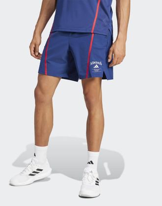 adidas adidas Performance - Designed for Training - Shorts in Dunkelblau und Kalkwei&szlig;