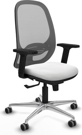 Piqueras y Crespo Cilanco Studienstuhl mit 2D-Armen, h&ouml;henverstellbare Lendenwirbelst&uuml;tze, ausgestattet mit 3 Positionen und Schneidschaum, Grau/Wei&szlig;