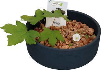 Pottery Pots Ethan Dekoschale Blau, Größe S, handgefertigte Schale aus Glasfaser, Stein u. Beton, Deko für Drinnen & Draußen, wetterfest