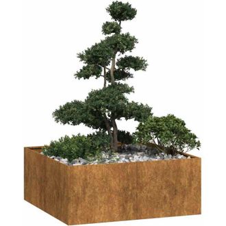 vidaXL Vidaxl - Jardini&egrave;re rouill&eacute; 100x100x40 cm acier inoxydable