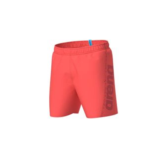 Arena Herren Fundamentals Logo R Boxer Beach Shorts