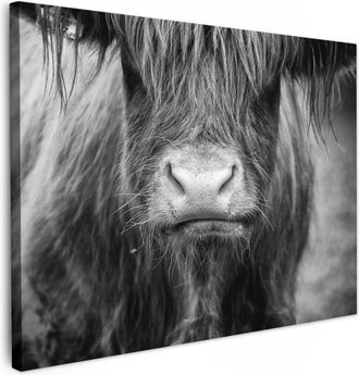 MuchoWow © Wandbilder 80x60 cm Wohnzimmer Wanddeko Schlafzimmer Zimmerdeko Fotowand Zimmer Deko Wand Dekoration Wall Art Schottisches Hochlandrind - Highland C