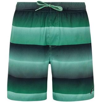 Protest Herren Badeshorts PRTRadar