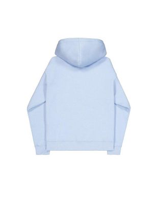Alpha Industries Hoodie DTM Alpha Hoodie