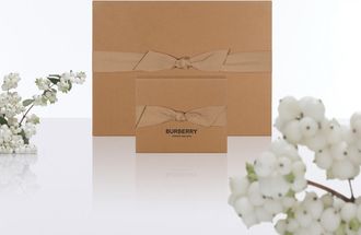 Burberry Aftercare Replacement