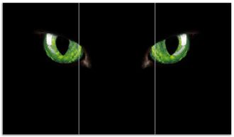 Wallario Herdabdeckplatte/Spritzschutz aus Glas, 3-teilig, 90x52cm, für Ceran- und Induktionsherde, Grüne Katzenaugen bei Nacht