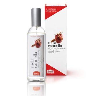 Helan Cosmesi di Laboratorio Zimtgas, Raumduft f&uuml;r das Haus aus aus gew&uuml;rztem Duft, mit K&uuml;mmel und Nelken, 100 ml, hergestellt in Italien, Apfel und Zimt