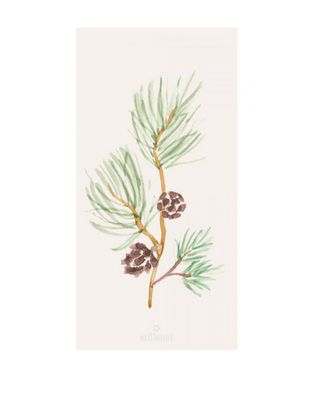 Ib Laursen Serviette Kieferzweig m/Zapfen 16 Stck B: 40 L: 40