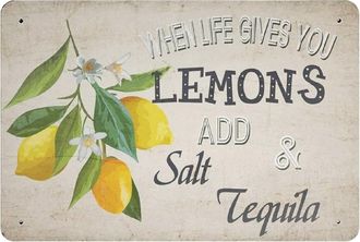 IUBBKI When Life Gives You Lemons Add Salt & Tequila Blechschild, Metallschild, Kunst, zum Aufh&auml;ngen, Eisen, Gem&auml;lde, Retro, Zuhause, K&uuml;che, Garten, Garage, 
