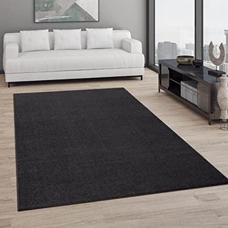 Paco Home Tapis Salon Uni Sobre Et Moderne Poils Ras, Diff. Tailles/Coloris, Dimension:200 cm carré, Couleur:Noir