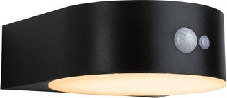 Paulmann 94730 LED Solar Wandleuchte Eileen mit Bewegungsmelder IP44 2200K 300lm insektenfreundliches Licht Schwarz Goldlicht wiederaufladbar