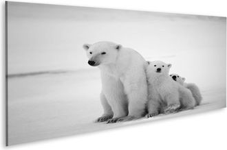 Islandburner Bild auf Leinwand Eisb&auml;r Mit Jungen Arktis Polarb&auml;r Bilder Wandbilder Poster