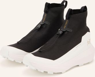 Arc'teryx Trailrunning-Schuhe Norvan 4 Nivalis Gtx schwarz