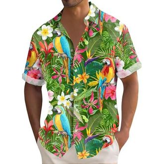 Generic Chemises d&eacute;t&eacute; pour homme, haut hawa&iuml;en, imprim&eacute; &agrave; manches courtes, chemise de plage respirante, chemise d&eacute;contract&eacute;e boutonn&eacute;e, tendance, haut d&eacute;contr