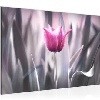 Runa Art Bild Blumen Tulpe Modern Wandbilder Wohnzimmer Schlafzimmer 1 Teilig- Made In Germany - Natur Bl&uuml;te Grau Rosa Flur 051115b